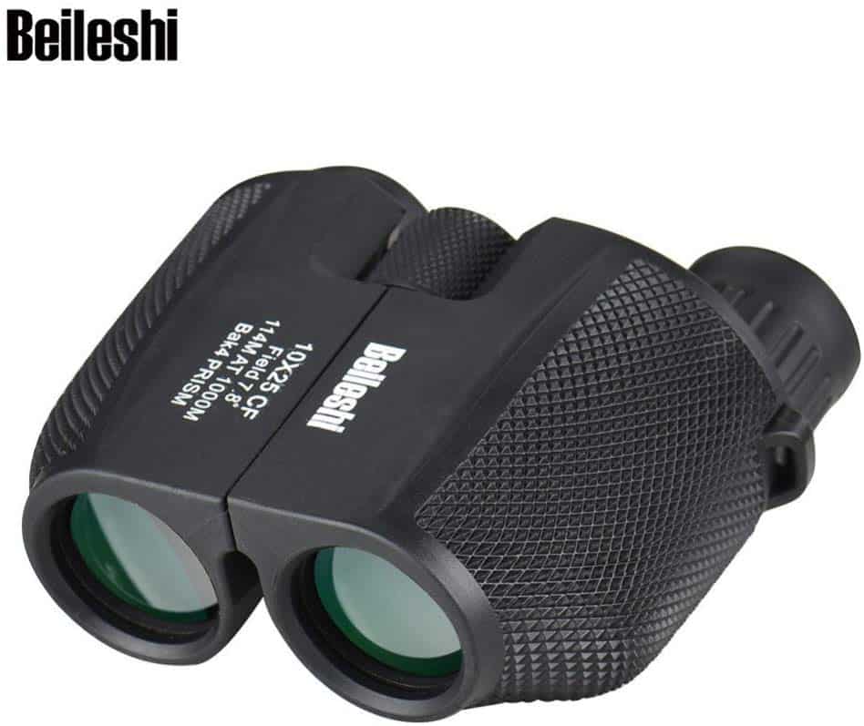 5+ Best Compact Binoculars (Reviews & Ratings For 2024)